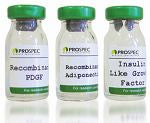 Epstein-Barr Virus (HHV-4) p23 Recombinant, EBV p23, 500ug - BIOTANG ...
